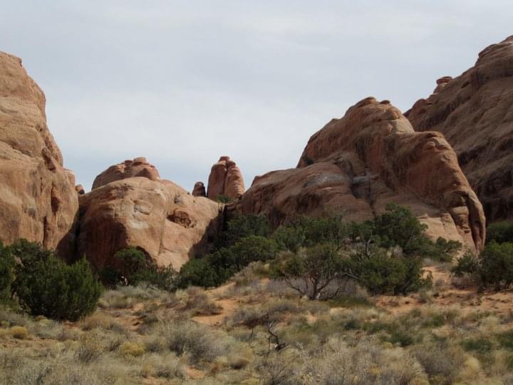 NPS Colorado Plateau Arid Grasslands Climate Adaptation Workshop ...