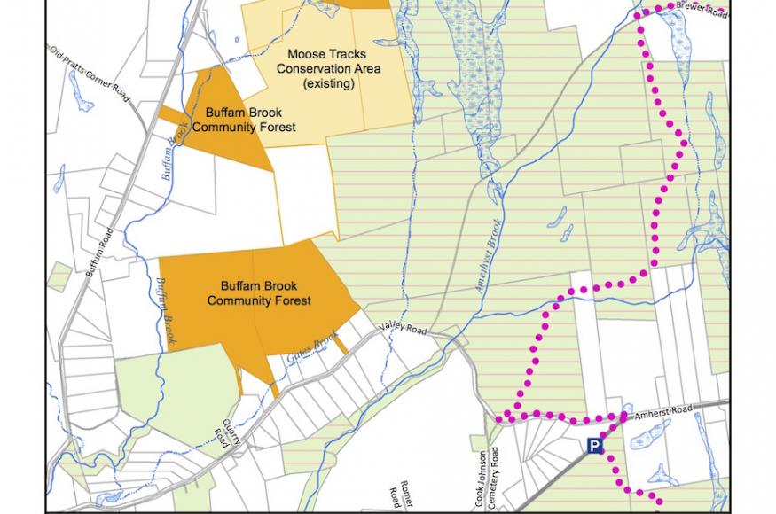 Kestrel Land Trust: Buffam Brook Community Forest | Climate Change ...